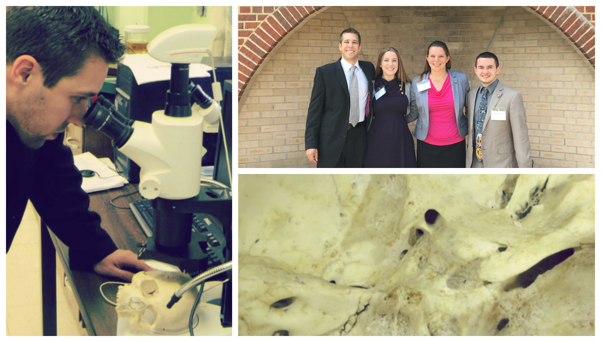 Dr. Matthew Zdilla Research - Biology | College of Sciences