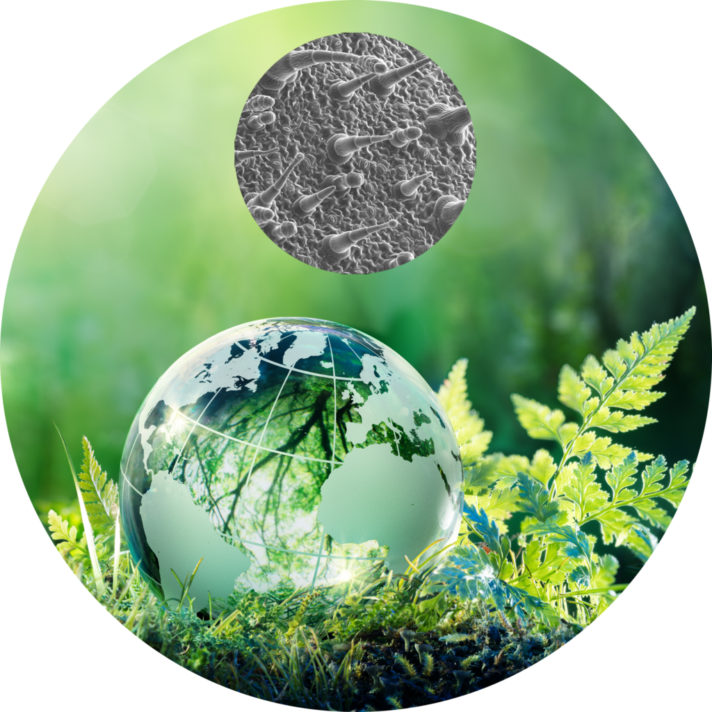 Sample Majors - Interdisciplinary Studies Program