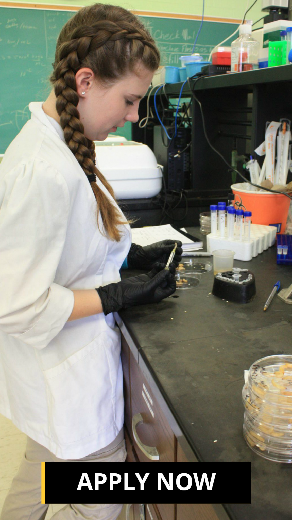 Masters in Biology Admission Requirements - WLU in West Virginia