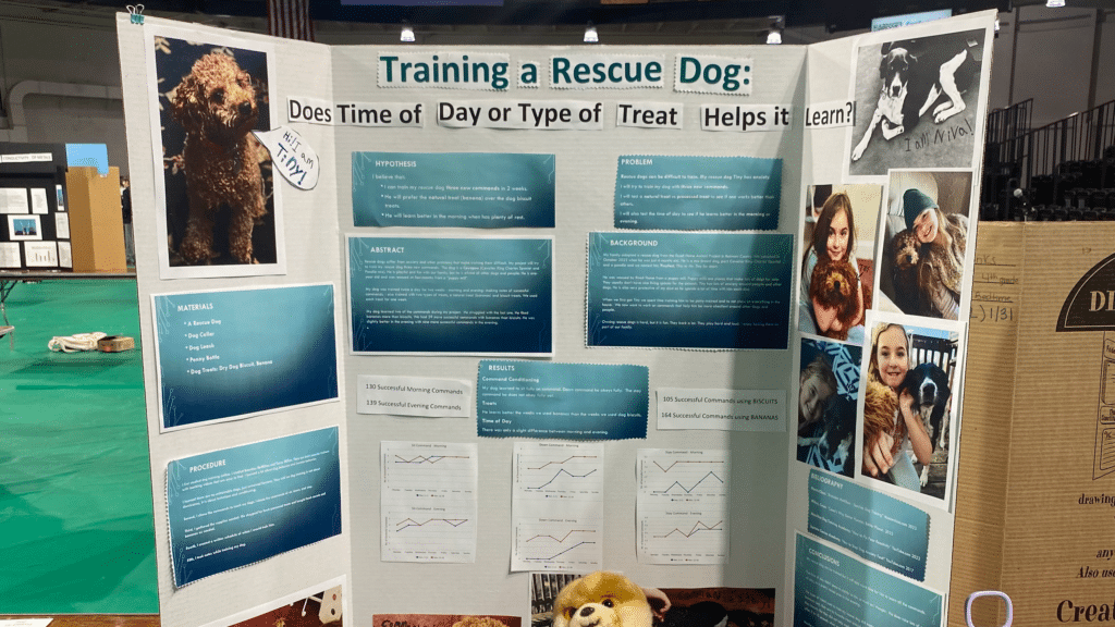 WLU Hosts the 3rd Annual Ohio County Science & Engineering Fair - News ...